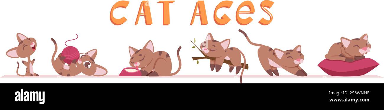 Cat growing. Kitten funny characters in various poses domestic animals ...