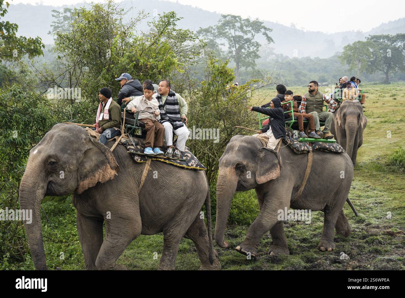 Tourists ride elephants during a safari at Kaziranga National Park on ...