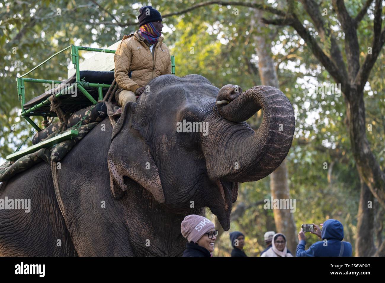 Tourists ride elephants during a safari at Kaziranga National Park on ...
