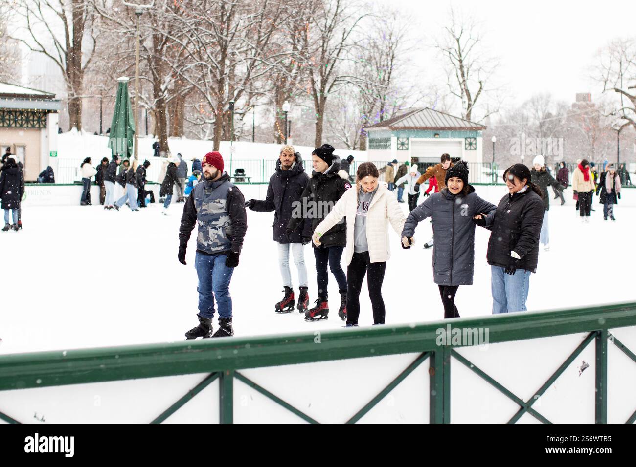 Boston ice skating frog hi-res stock photography and images - Alamy
