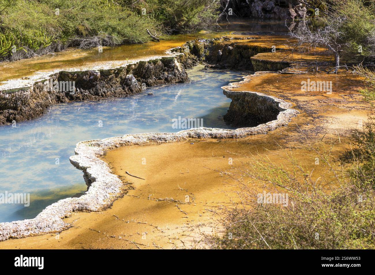 An image of a volcanic activities at waimangu new zealand Stock Photo ...