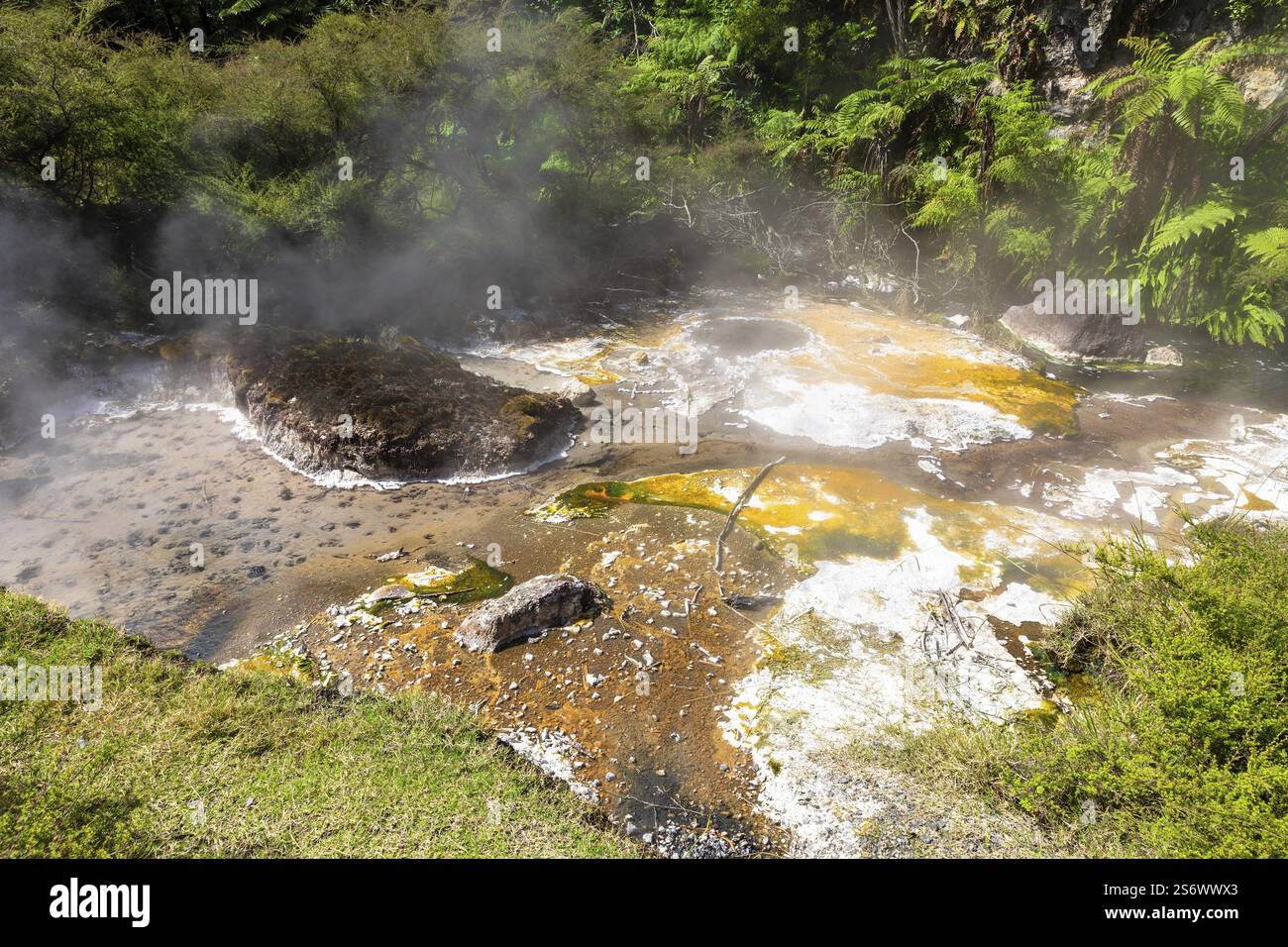 An image of a volcanic activities at waimangu new zealand Stock Photo ...