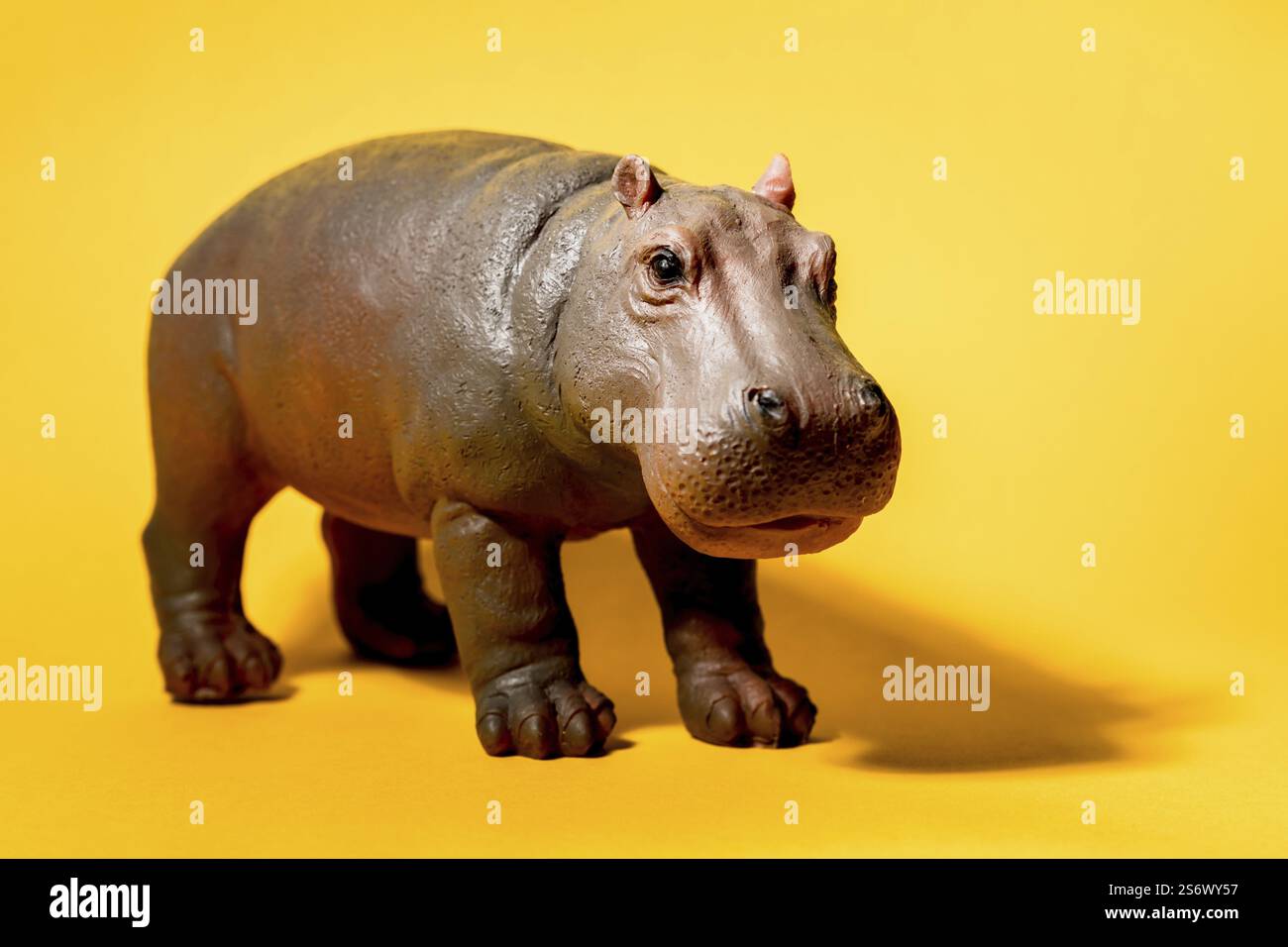 An image of a hippopotamus figure isolated on red background Stock ...