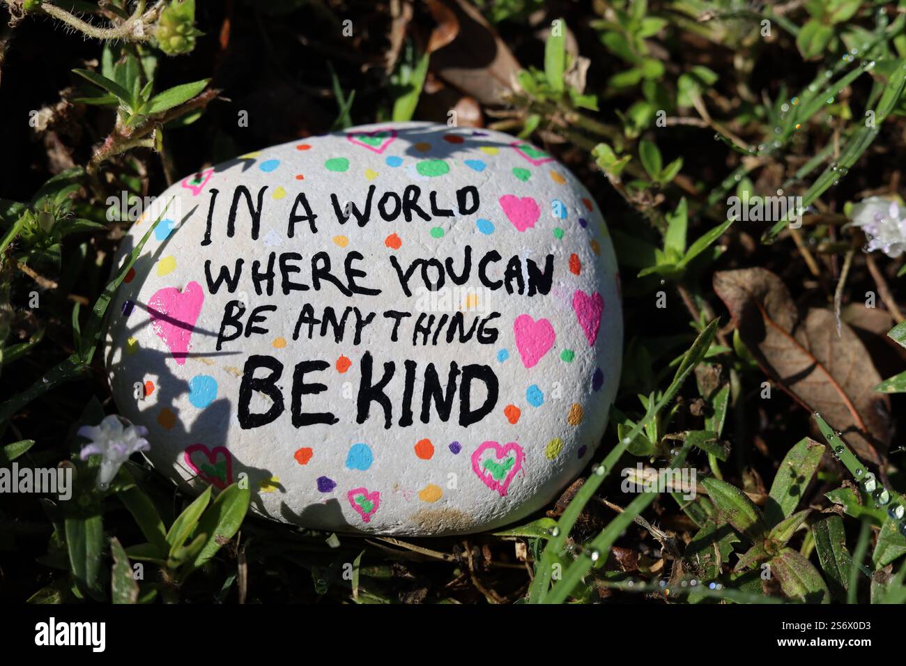 Be kind kindness rock in wet grass Stock Photo - Alamy