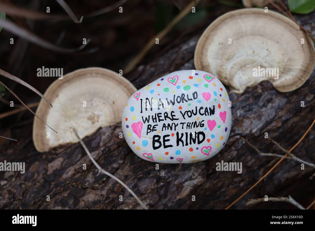 Kindness rock hi-res stock photography and images - Alamy