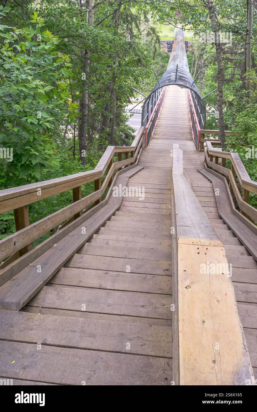 Wooden steps leading to suspended footbridge over whitemud highway in ...