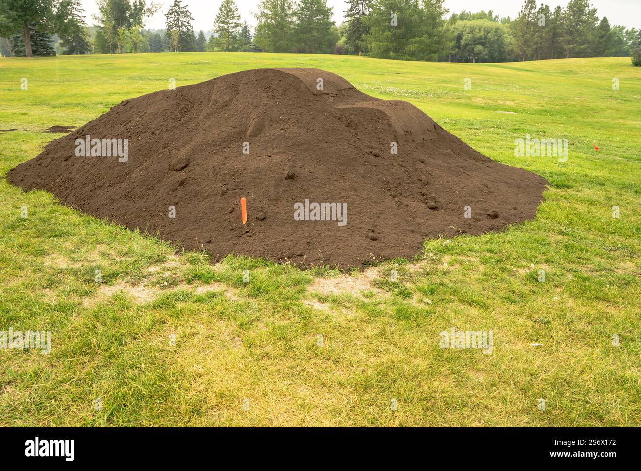A pile of topsoil unloaded in a city park for landscaping top dressing ...