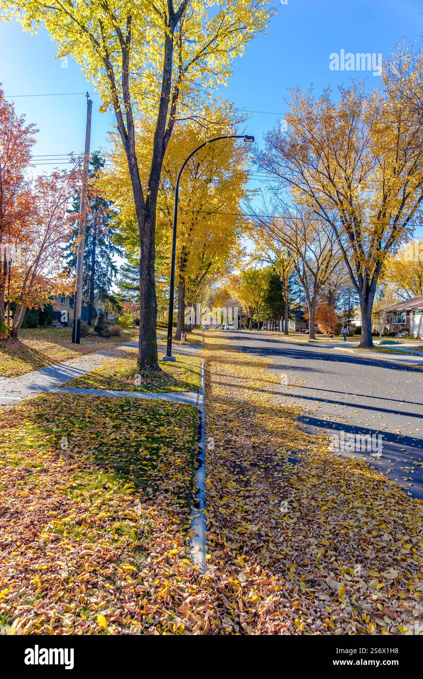 The edmonton area hi-res stock photography and images - Alamy