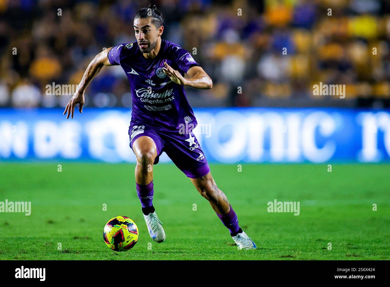 Rodolfo pizarro of monterrey hi-res stock photography and images - Alamy
