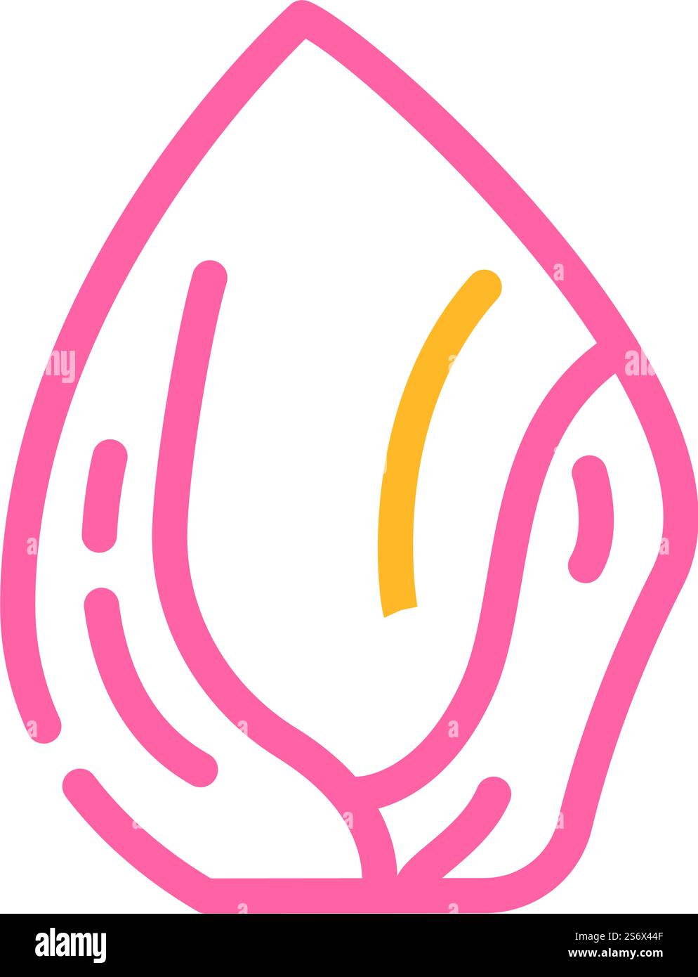 ears food color icon vector. ears food sign. isolated symbol ...