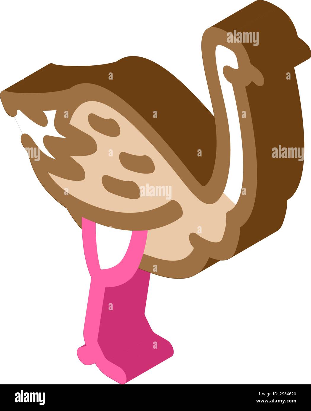 ostrich bird isometric icon vector. ostrich bird sign. isolated symbol ...