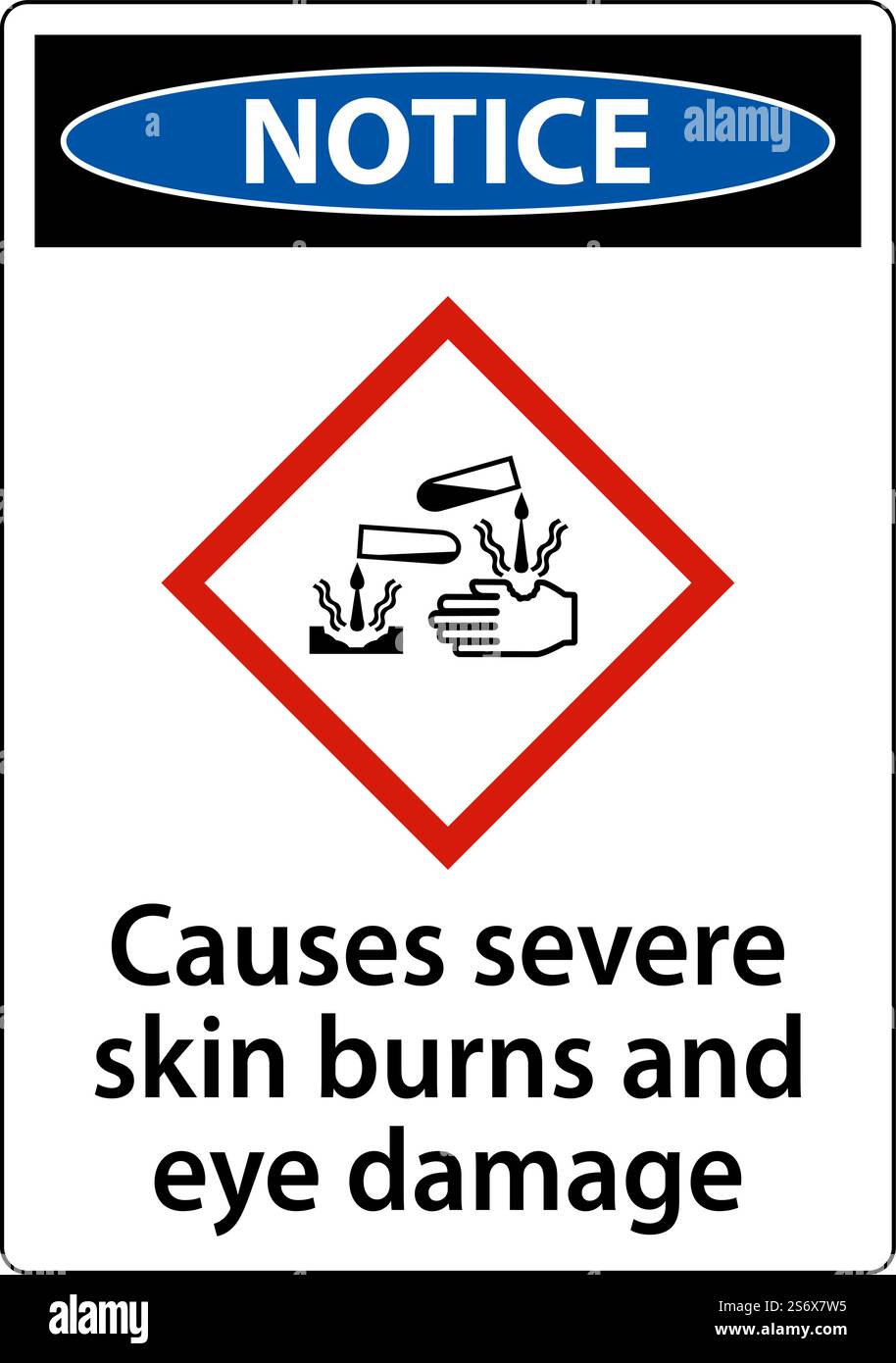 Notice Causes Severe Skin Burns Eye Damage GHS Sign Stock Vector Image ...