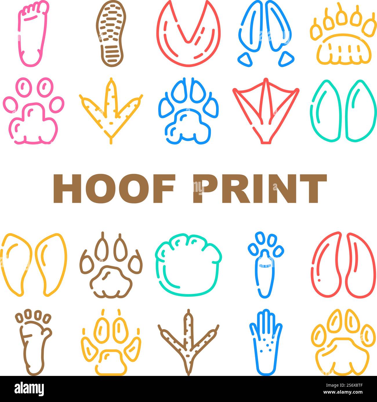 Human shoe Stock Vector Images - Alamy