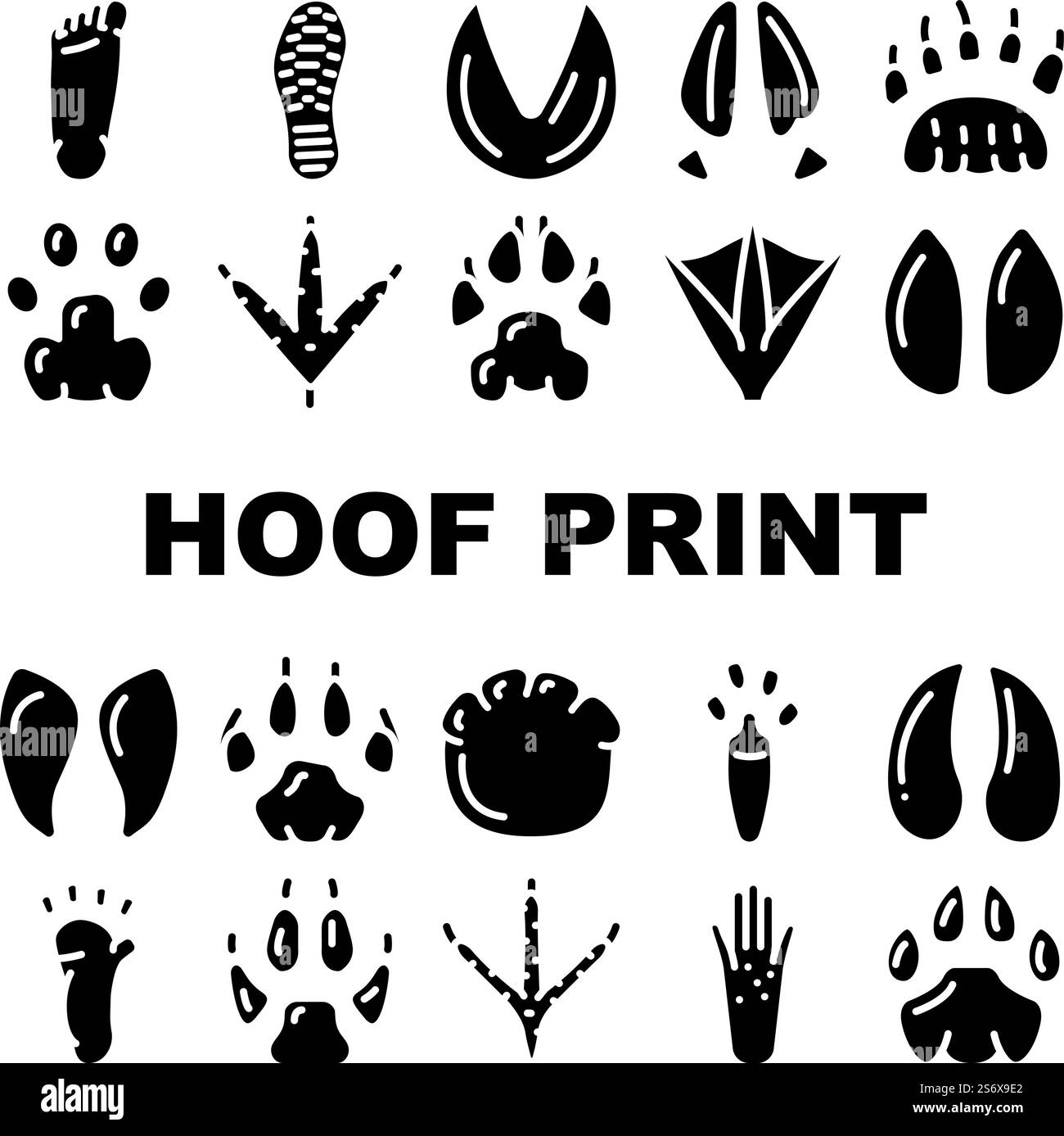 Hoof Print Animal, Bird And Human Shoe Set Vector. People Footprint And Elephant Hoof Print ...