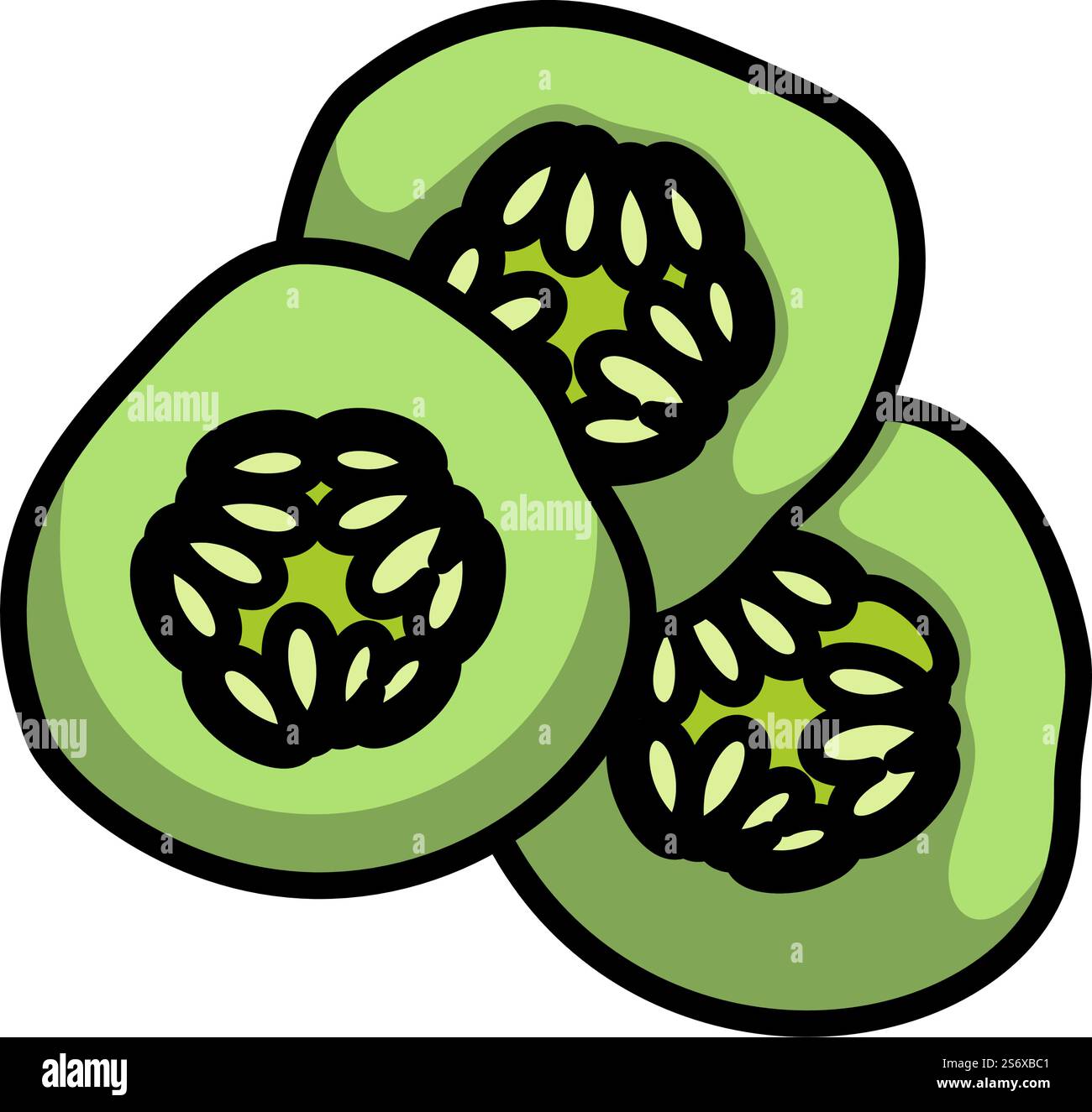 Cucumber Slices For SPA Icon. Editable Bold Outline With Color Fill ...