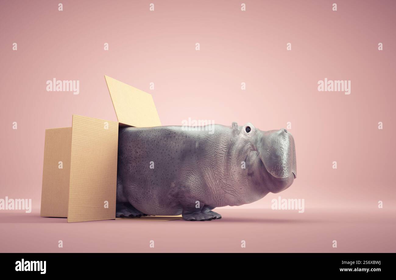 Hippo comes out of the box. Think outside the box concept. This is a 3d ...