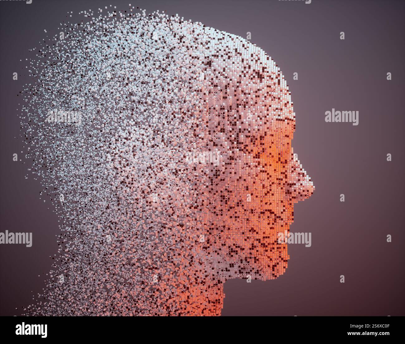 3D dissolving human head made with cube particles. Deep learning ...