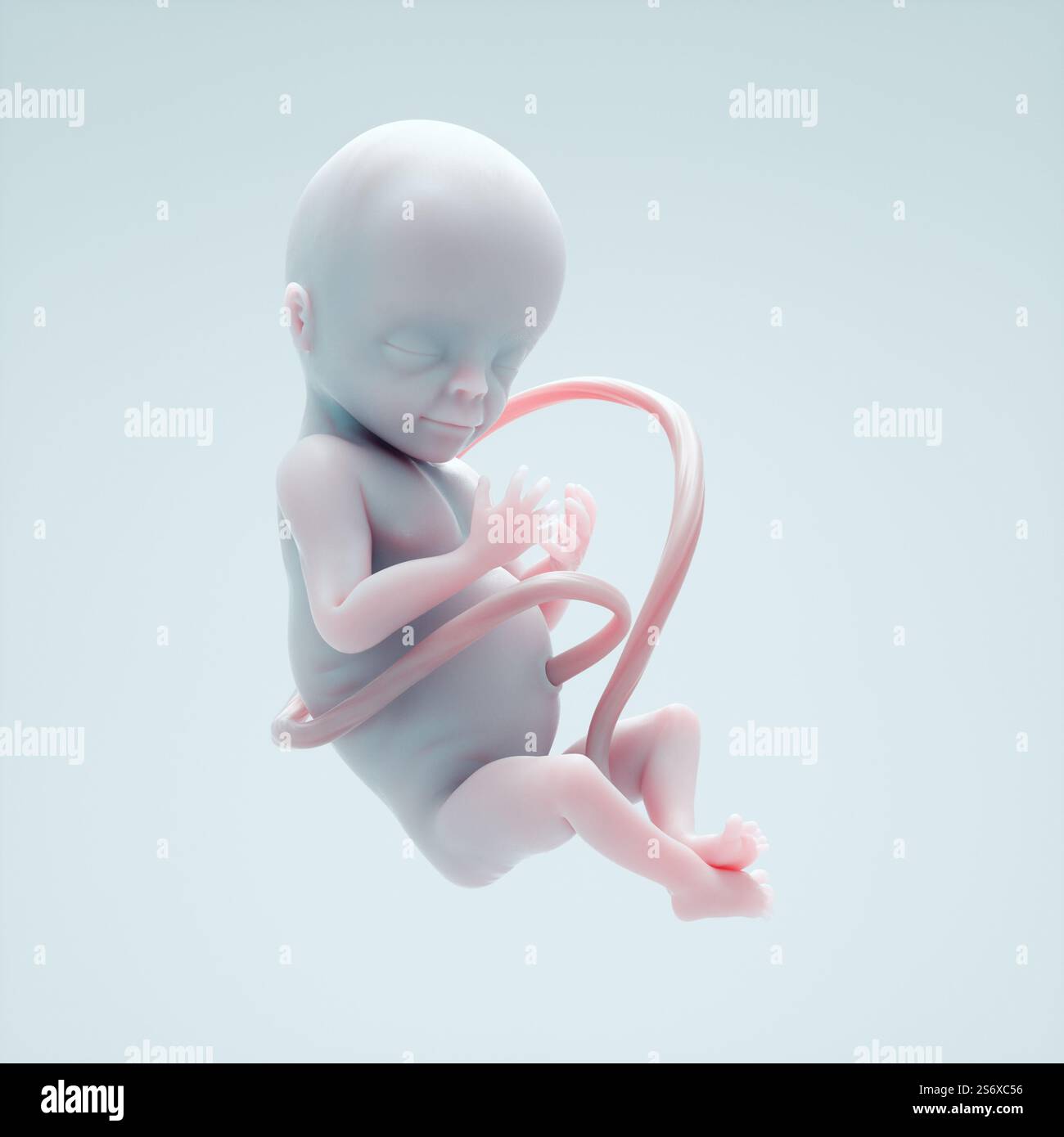 Conceptual image of a fetus. Fertility and science concept. This is a ...