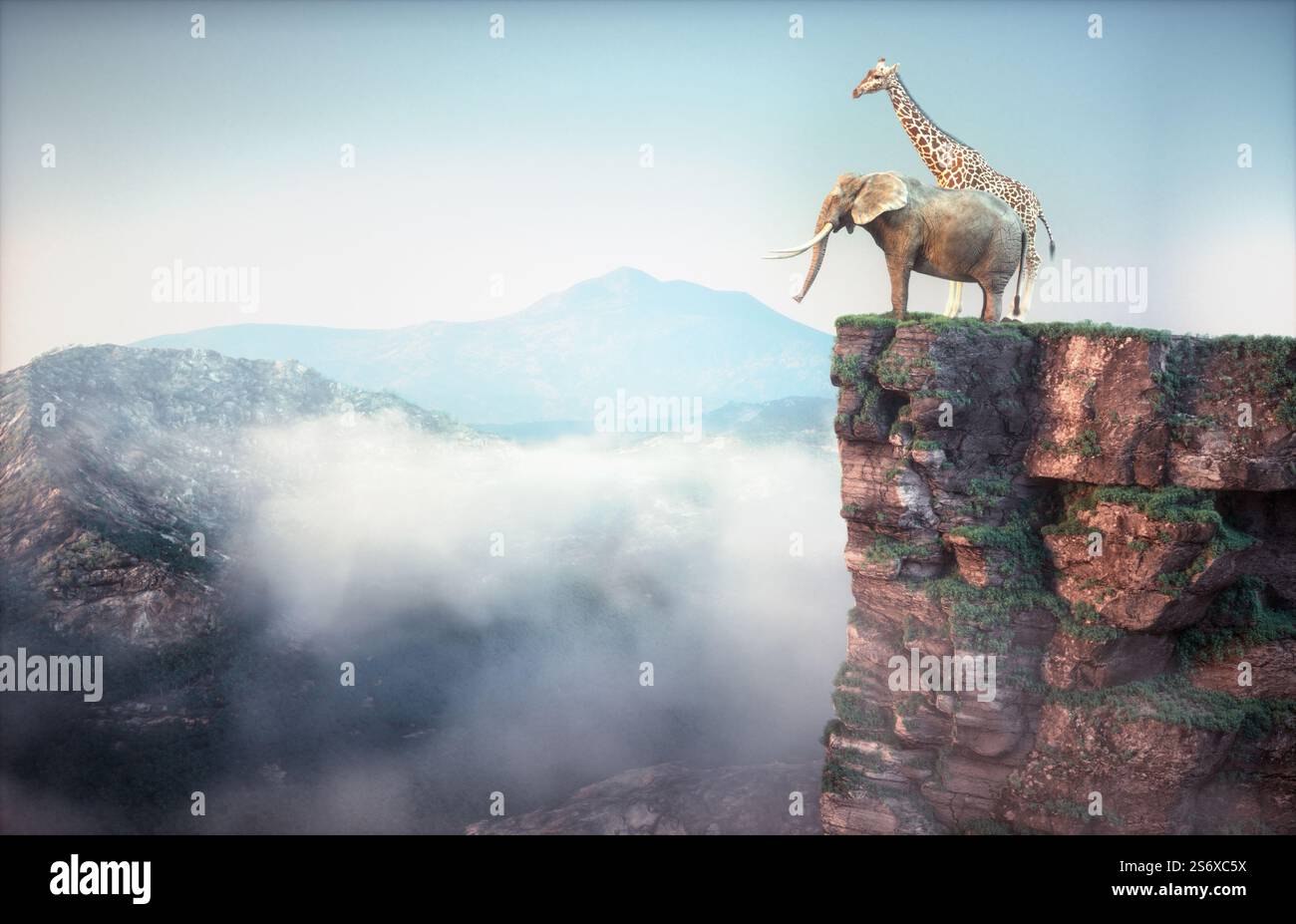 Elephant and giraffe sitting on edge of a cliff and admiring the ...