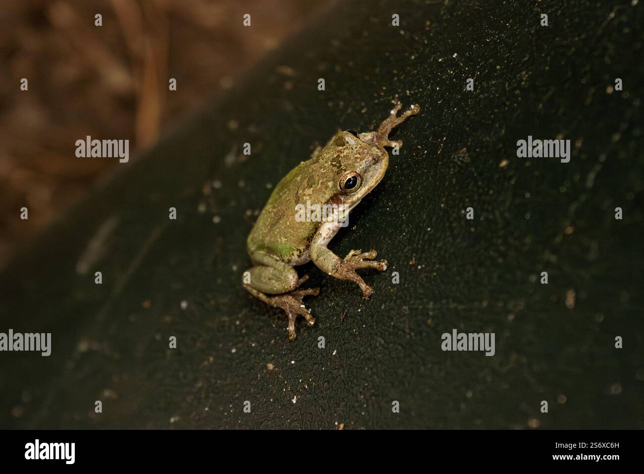 Dark photography background hi-res stock photography and images - Alamy