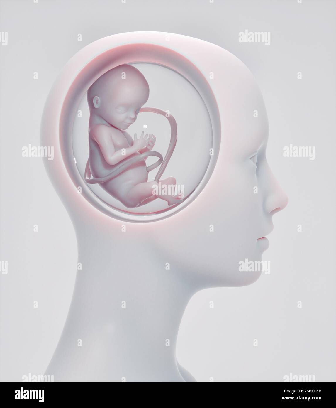 Fetus in the human head. Pregnancy planning and new life concept. This ...