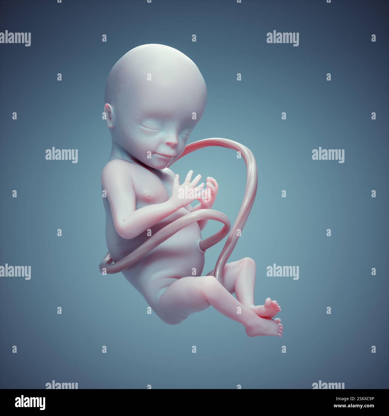 Potential developmental stages hi-res stock photography and images - Alamy