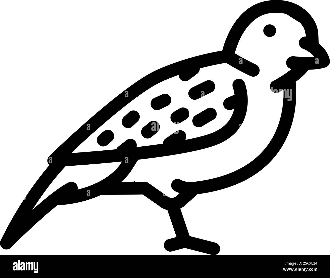 sparrow bird line icon vector. sparrow bird sign. isolated contour ...