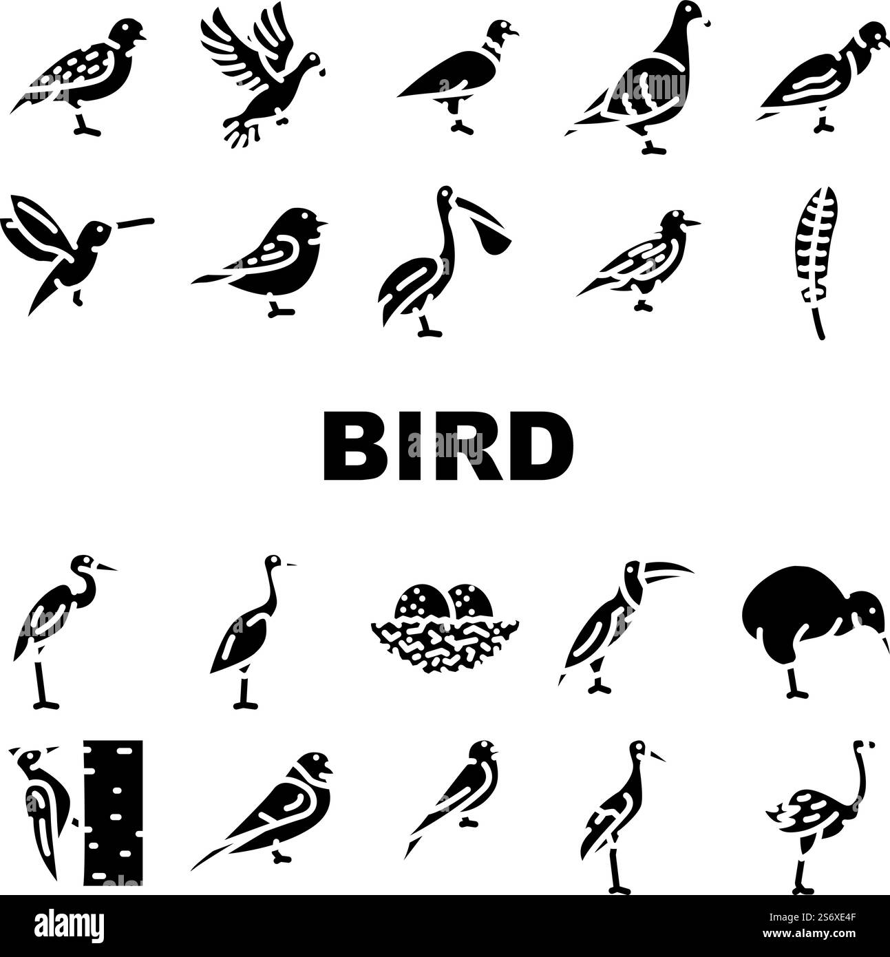 Bird Flying And Eggs In Nest Icons Set Vector. Toucan And Eagle, Crane ...