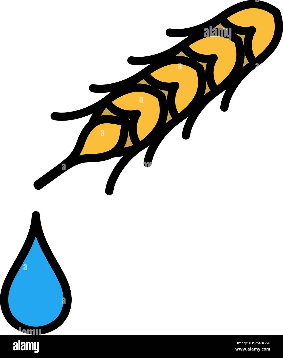 Wheat With Drop Icon. Editable Bold Outline With Color Fill Design ...