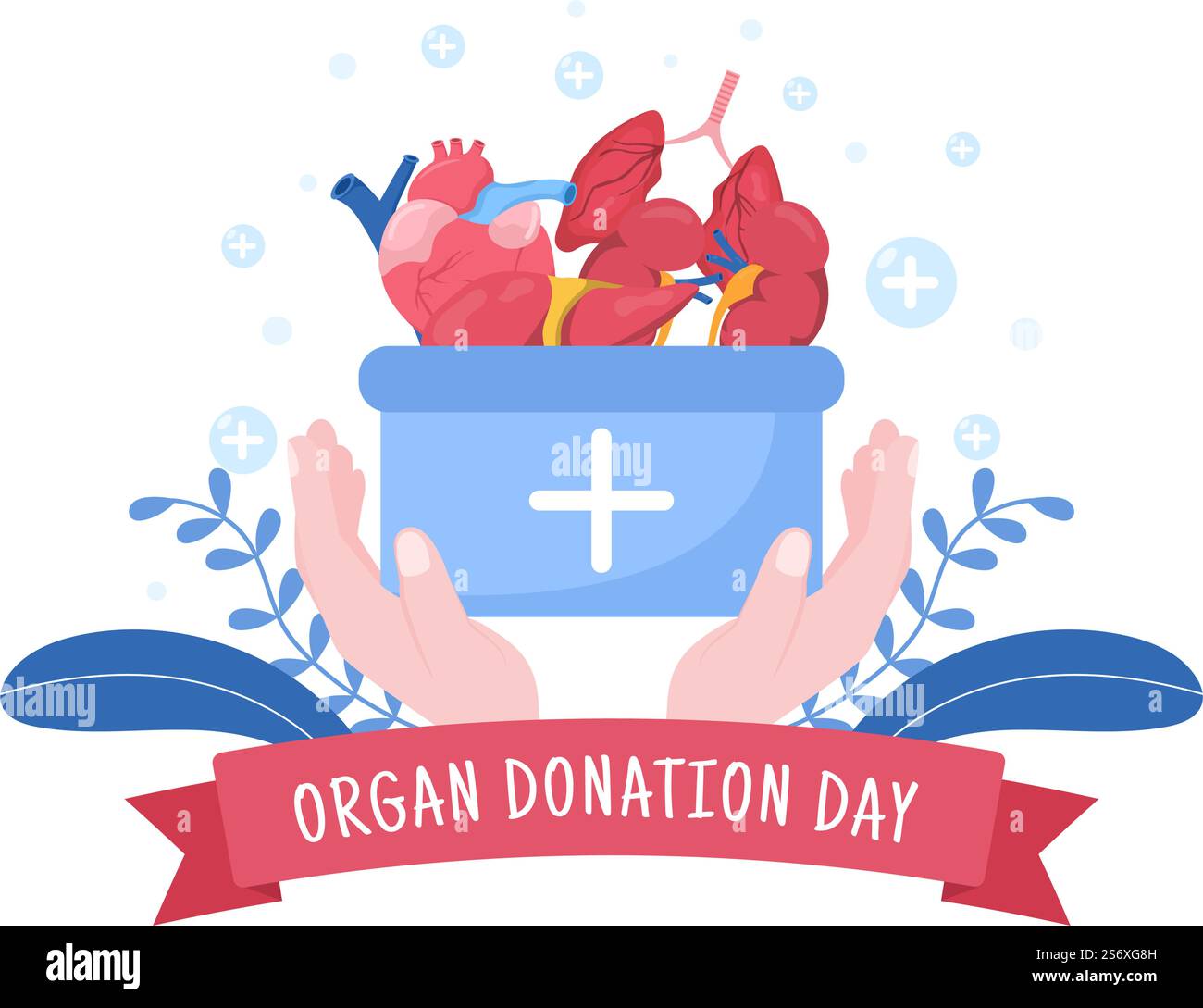World Organ Donation Day with Kidneys, Heart, Lungs, Eyes or Liver for ...