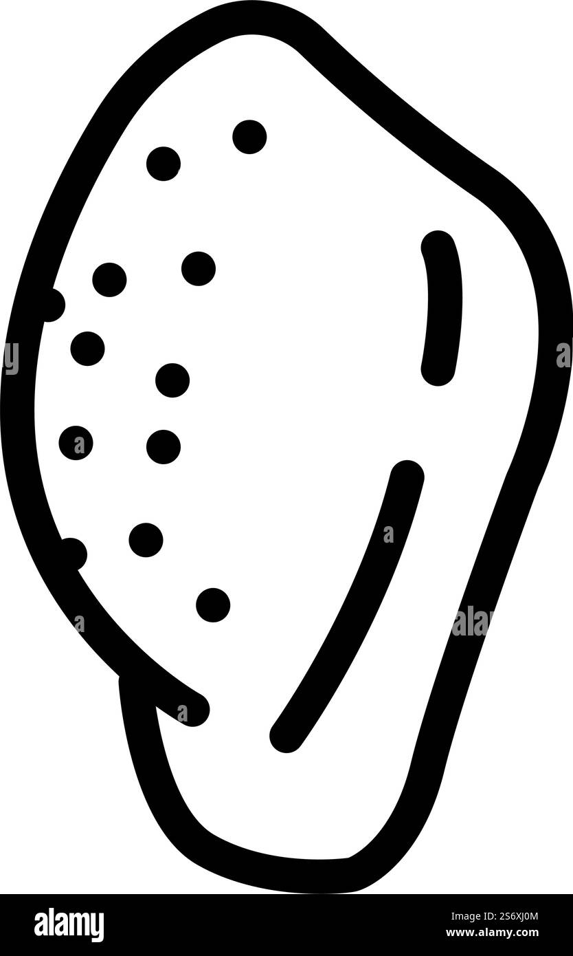 middle phalanx line icon vector. middle phalanx sign. isolated contour ...