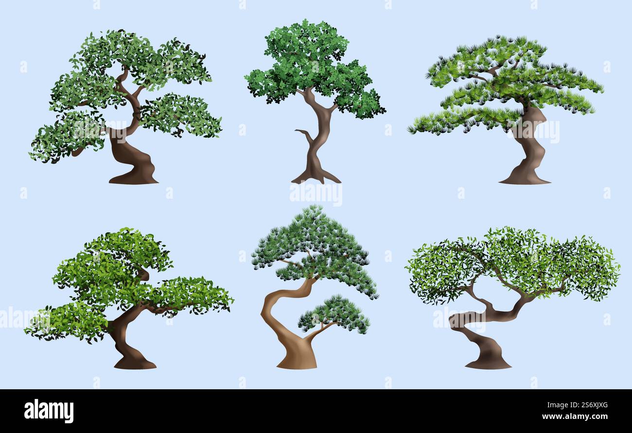 Bonsai tree. Decorative japanese authentic plants botanical elderly ...