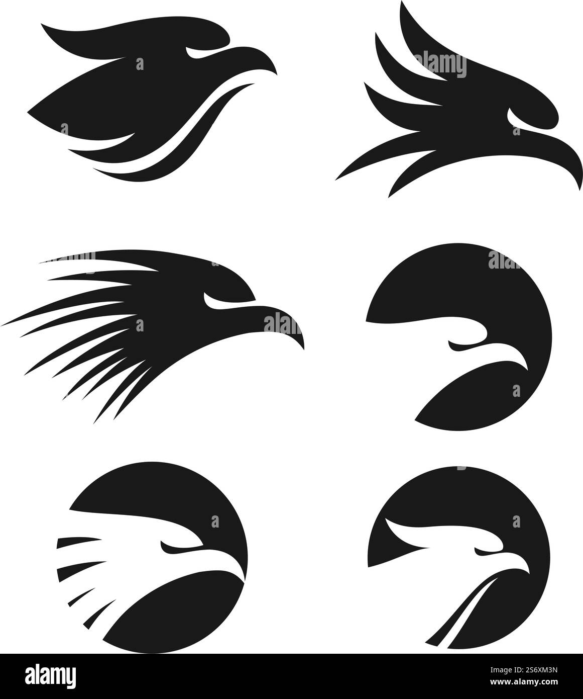 Falcon eagle bird illustration logo design Stock Vector Image & Art - Alamy
