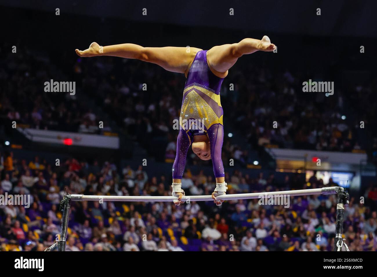 Baton Rouge, LA, USA. 17th Jan, 2025. LSU Tigers Ashley Cowan in action ...