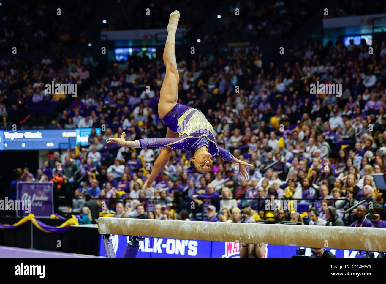 Baton Rouge, LA, USA. 17th Jan, 2025. LSU Tigers Haleigh Bryant in ...