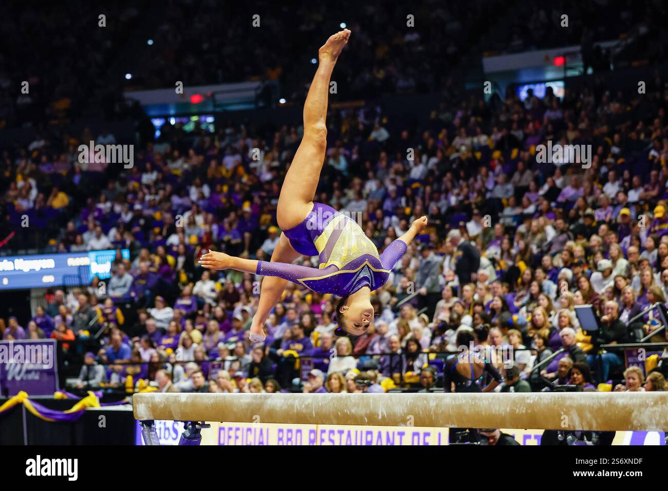 Baton Rouge, LA, USA. 17th Jan, 2025. LSU Tigers Kylie Coen in action ...