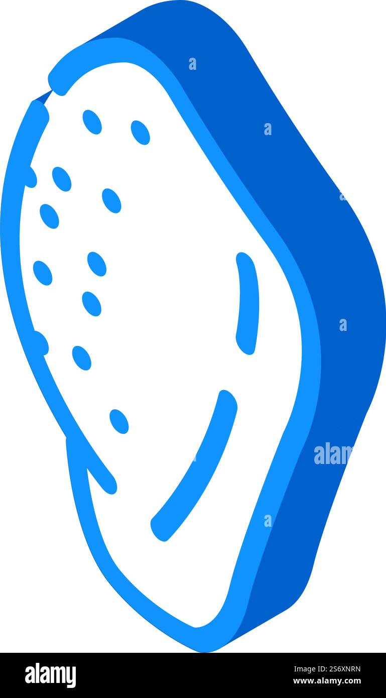 middle phalanx isometric icon vector. middle phalanx sign. isolated ...