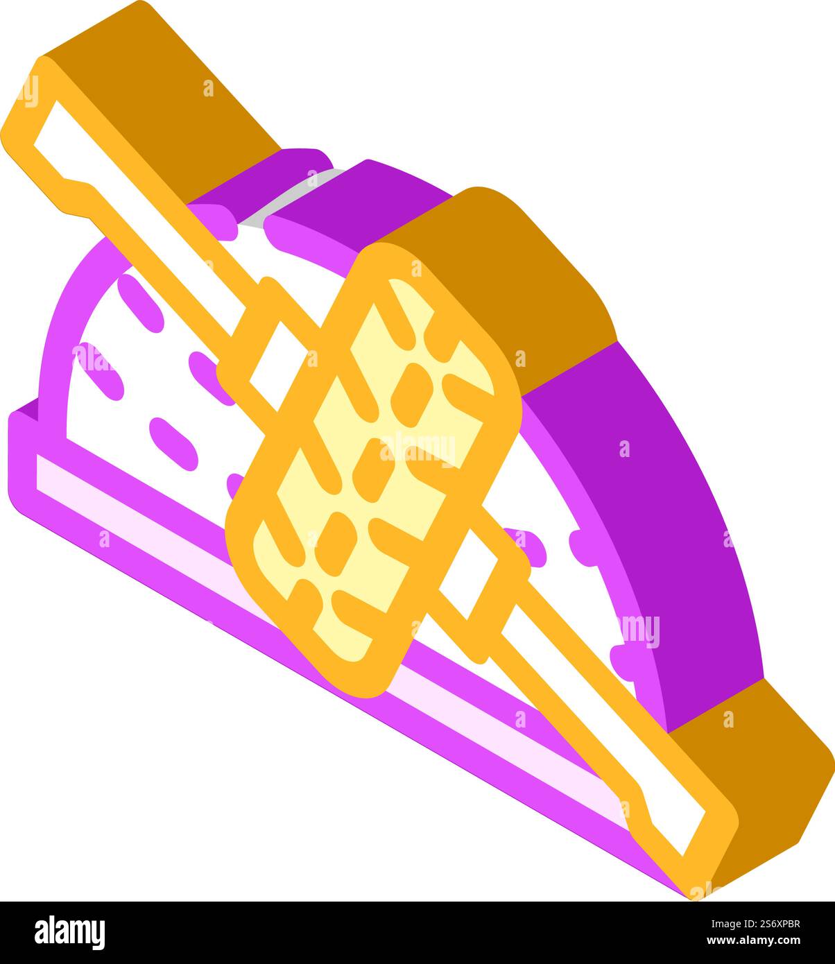 home training exercise isometric icon vector. home training exercise ...