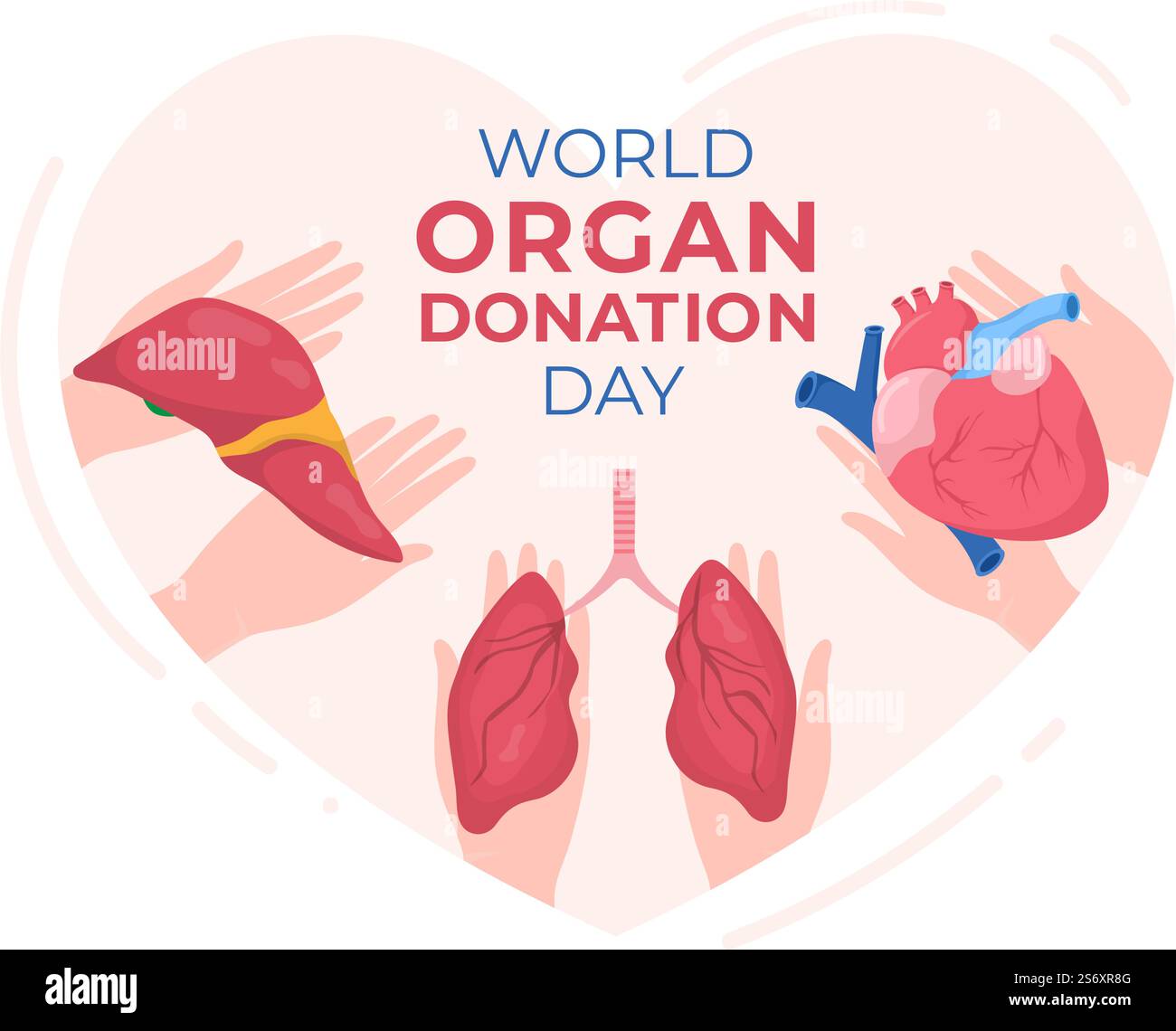 World Organ Donation Day with Kidneys, Heart, Lungs, Eyes or Liver for ...
