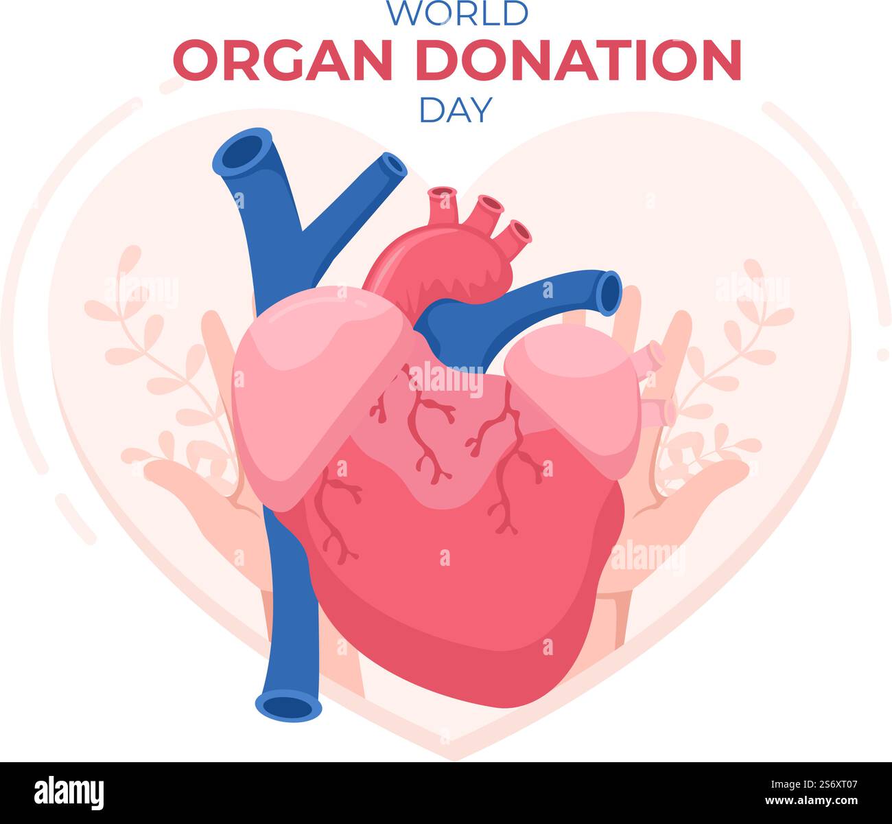 World Organ Donation Day with Kidneys, Heart, Lungs, Eyes or Liver for ...