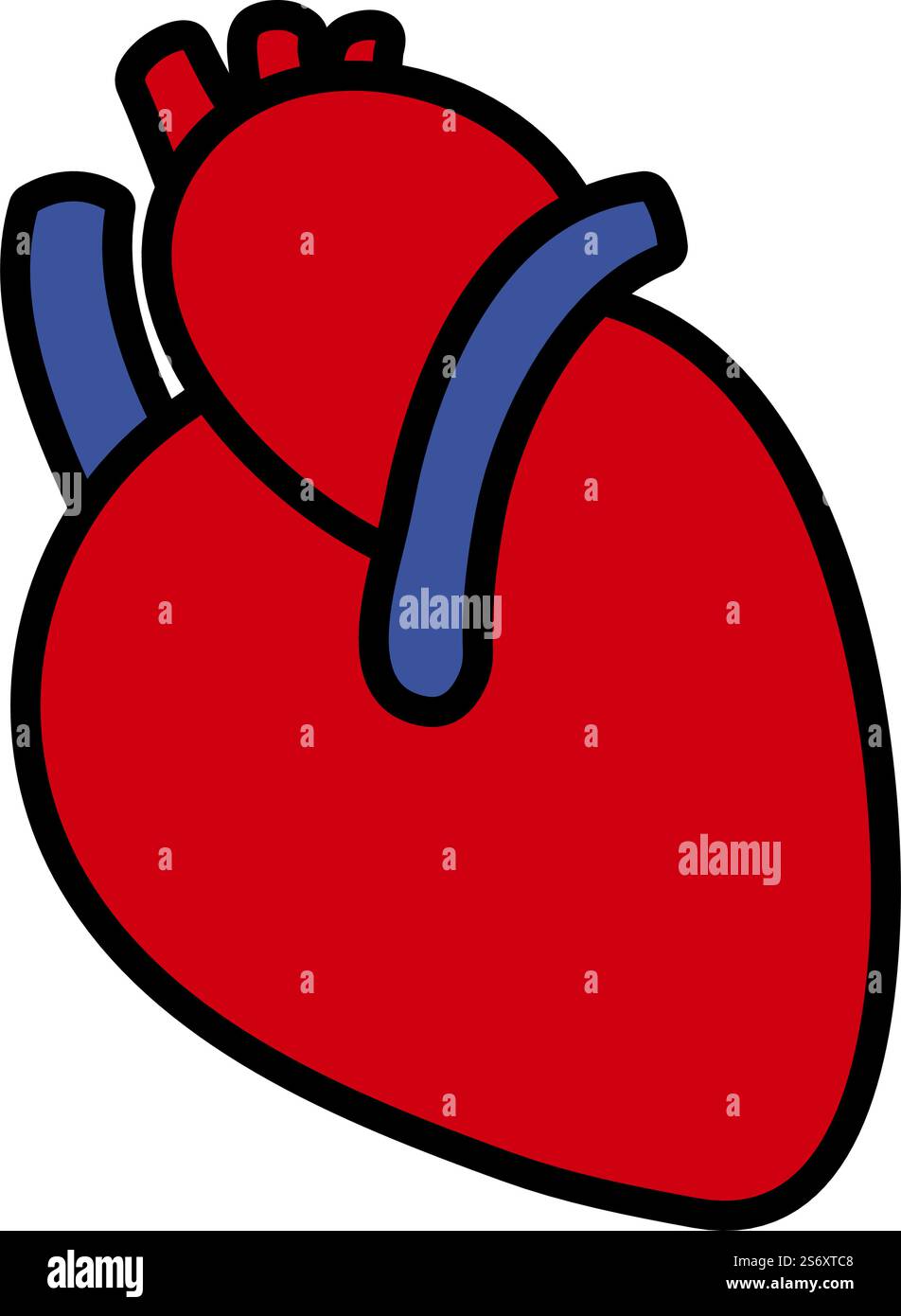 Human Heart Icon. Editable Bold Outline With Color Fill Design. Vector ...