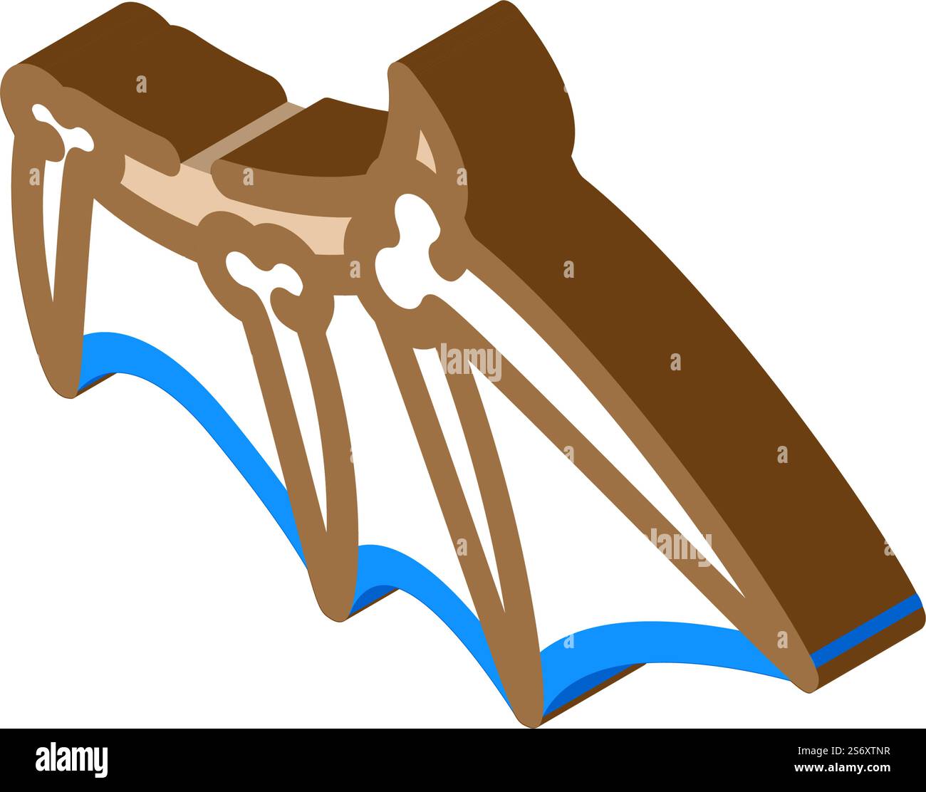 bones of wing isometric icon vector. bones of wing sign. isolated ...