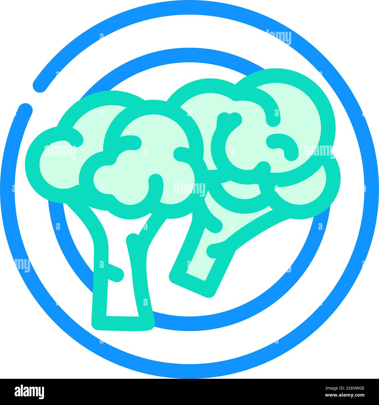 eat healthy food color icon vector. eat healthy food sign. isolated ...