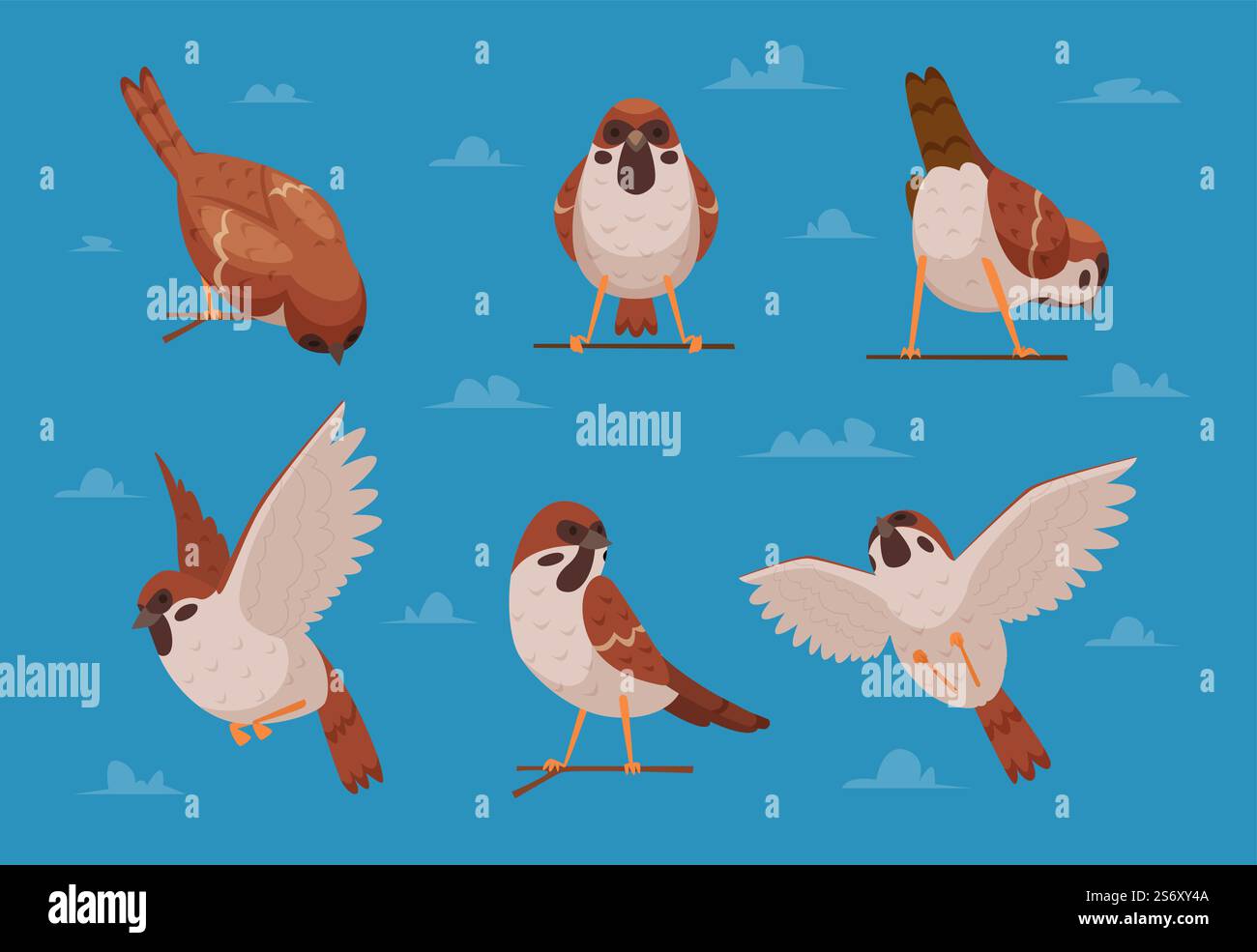 Sparrows. Cartoon funny birds in various poses chirp characters nature ...