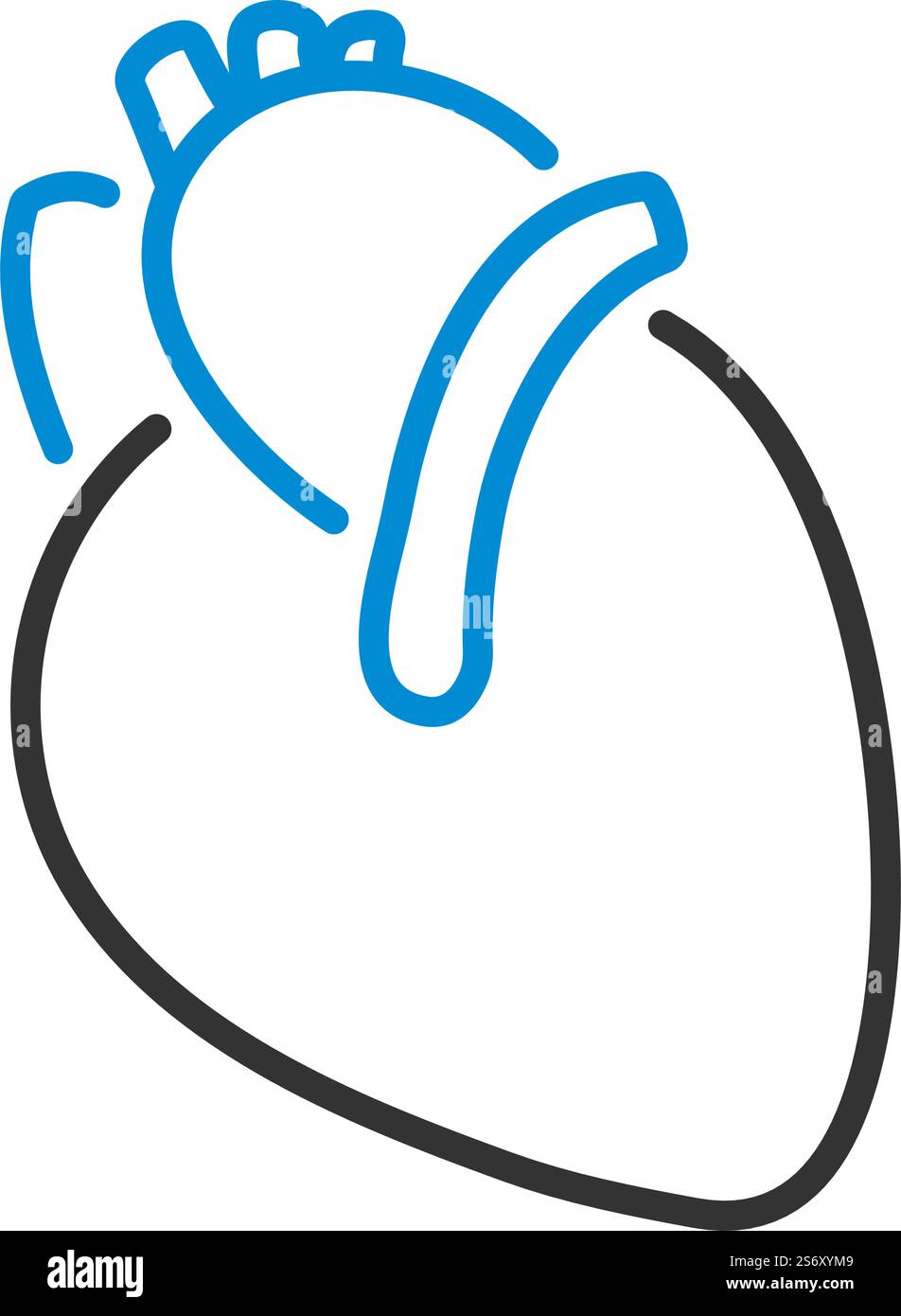 Human Heart Icon. Editable Bold Outline With Color Fill Design. Vector ...