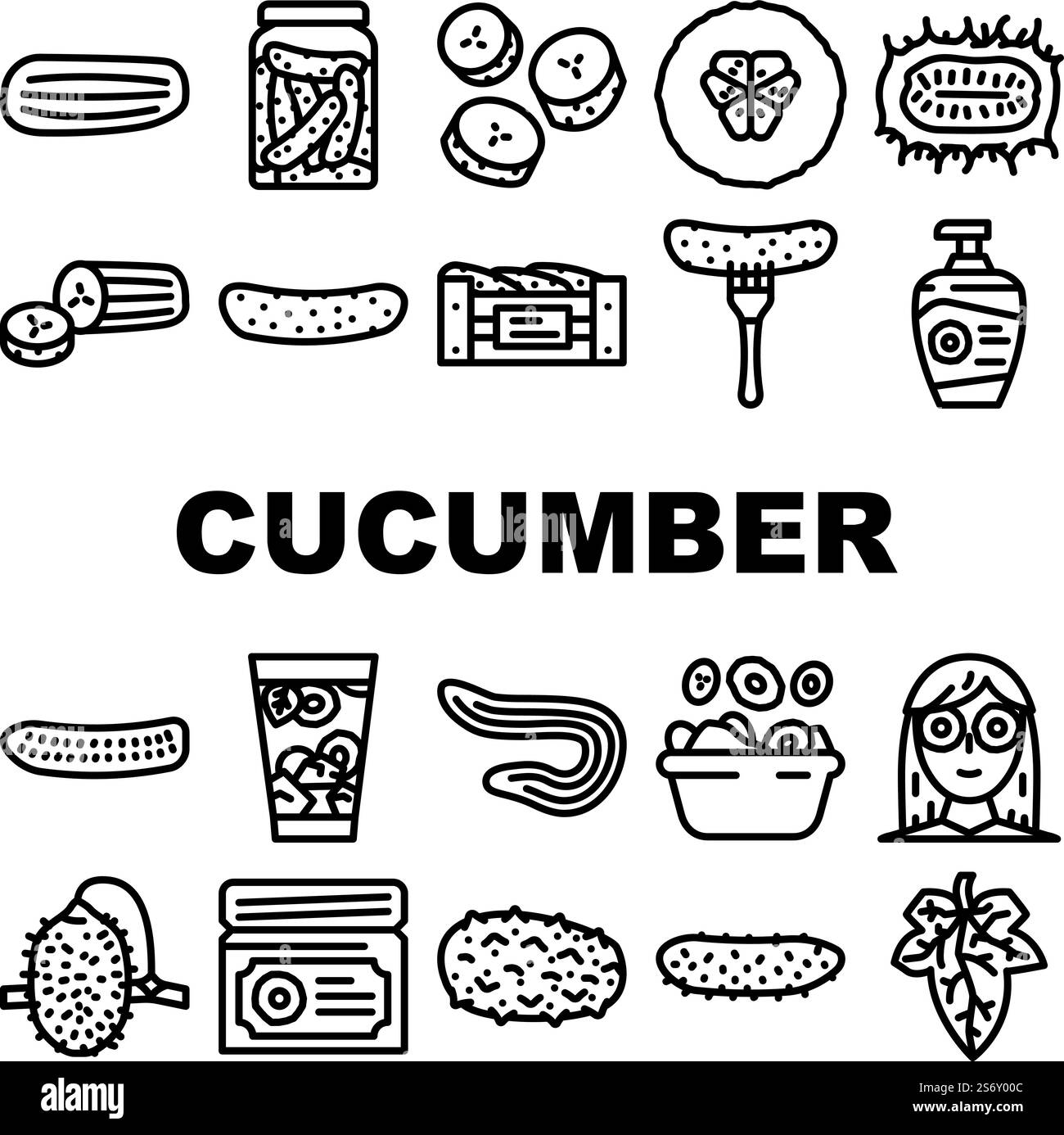 cucumber slice vegetable green icons set vector. white fresh salad, cut ...
