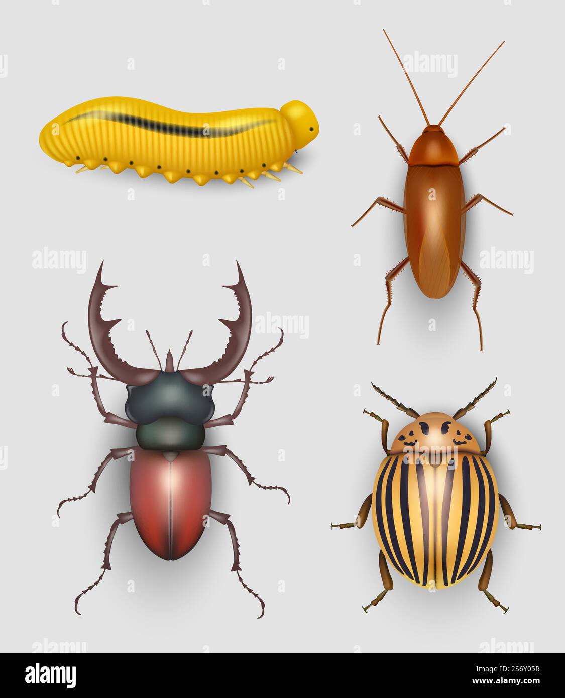 Insects realistic. Flying bugs crawling pest beetle garden grubs ...