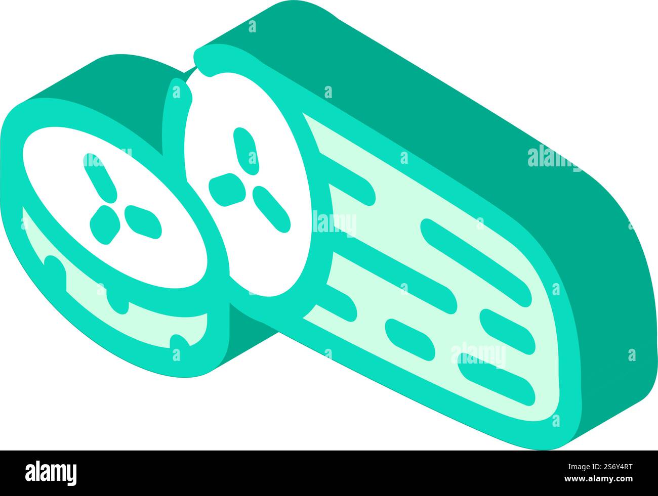 one whole cucumber isometric icon vector. one whole cucumber sign ...