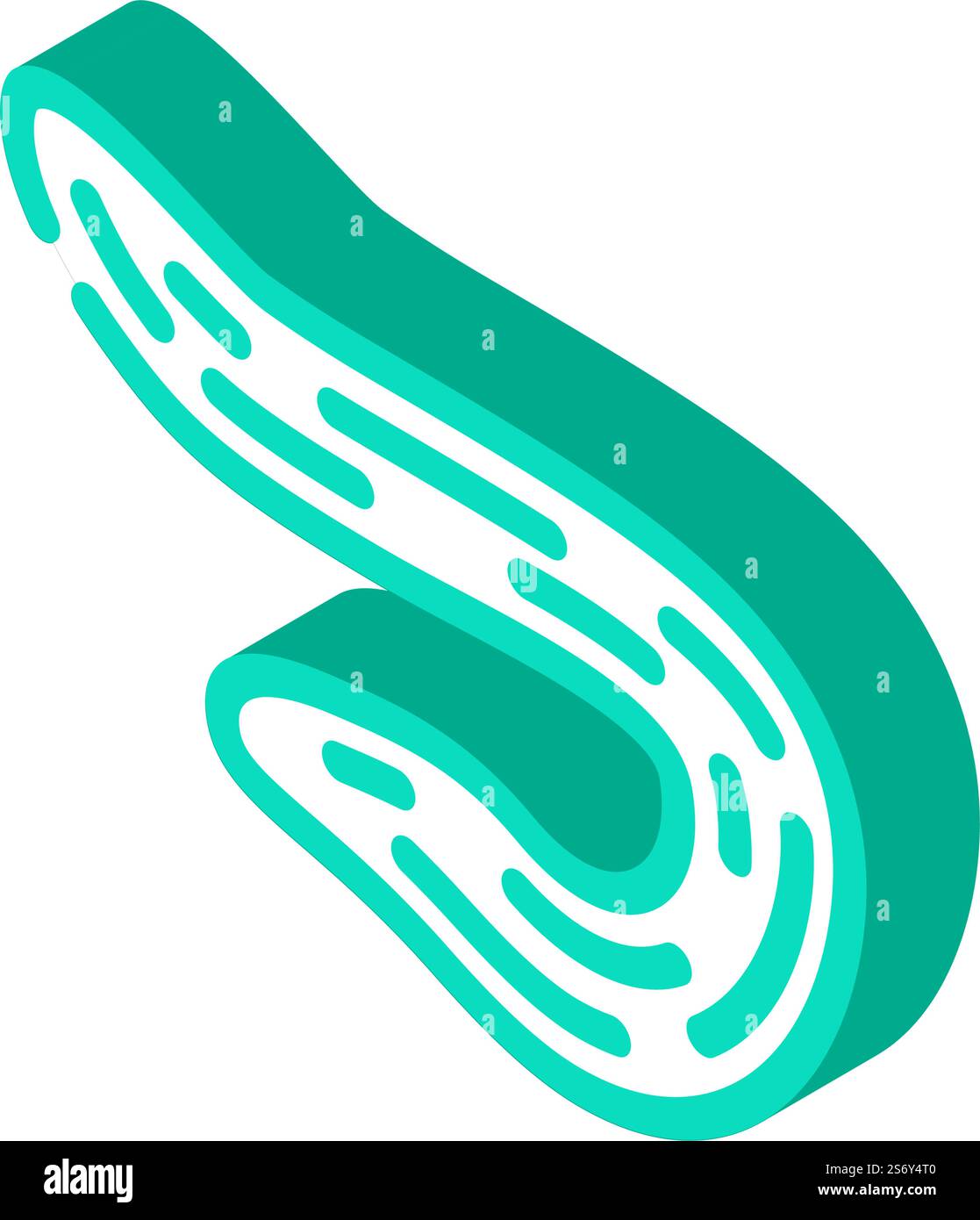 armenian cucumber isometric icon vector. armenian cucumber sign ...