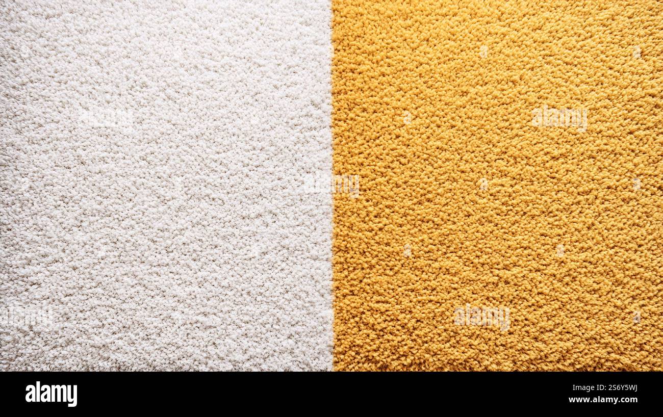 Detailed Side-by-Side Comparison of a Dirty and Freshly Cleaned Carpet ...